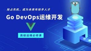 零声 - Golang DevOps高级开发